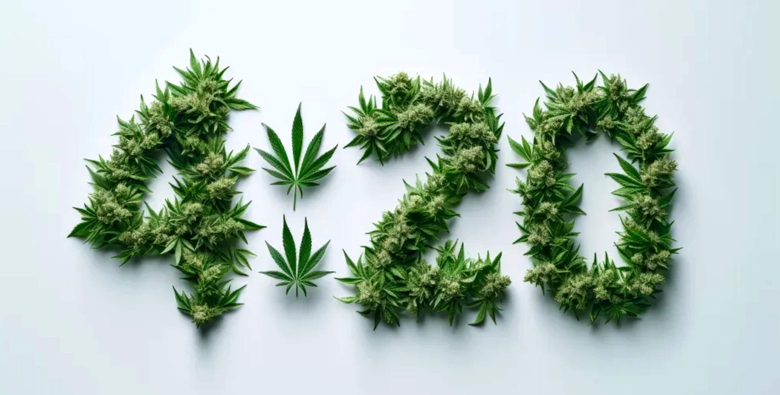 Demystifying the "420 Friendly" Culture: Everything You Need to Know