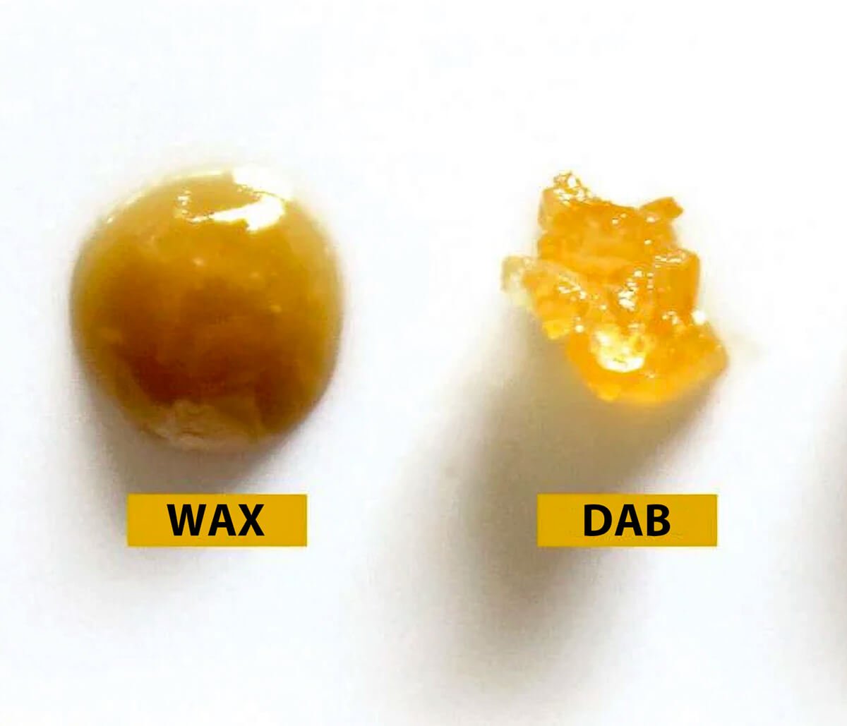 Wax vs. Dab: How to Choose the Best Option for Vaping - Extract Oil ...